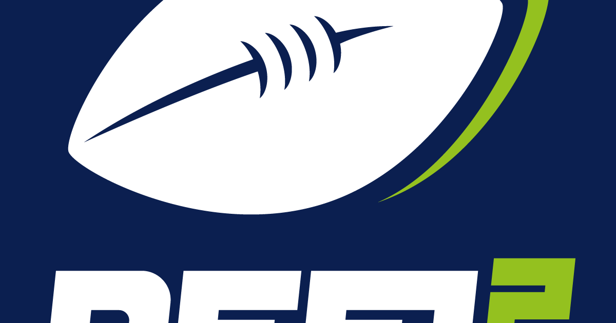 Was sind die DFFL und DFFL2 im Flag Football? - FlagFootball.Rocks!